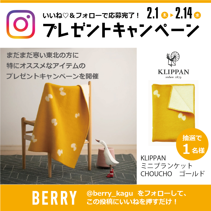 KLIPPANのミニブランケット「CHOUCHOゴールド」プレゼントキャンペーンのお知らせ | BERRY-KAGU